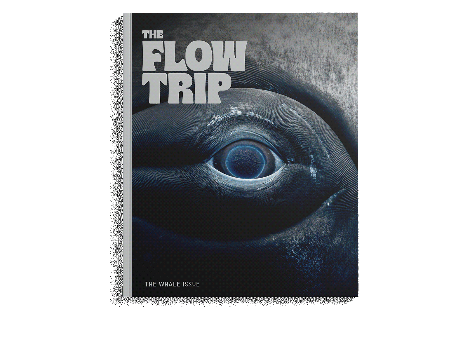 The Flow Trip